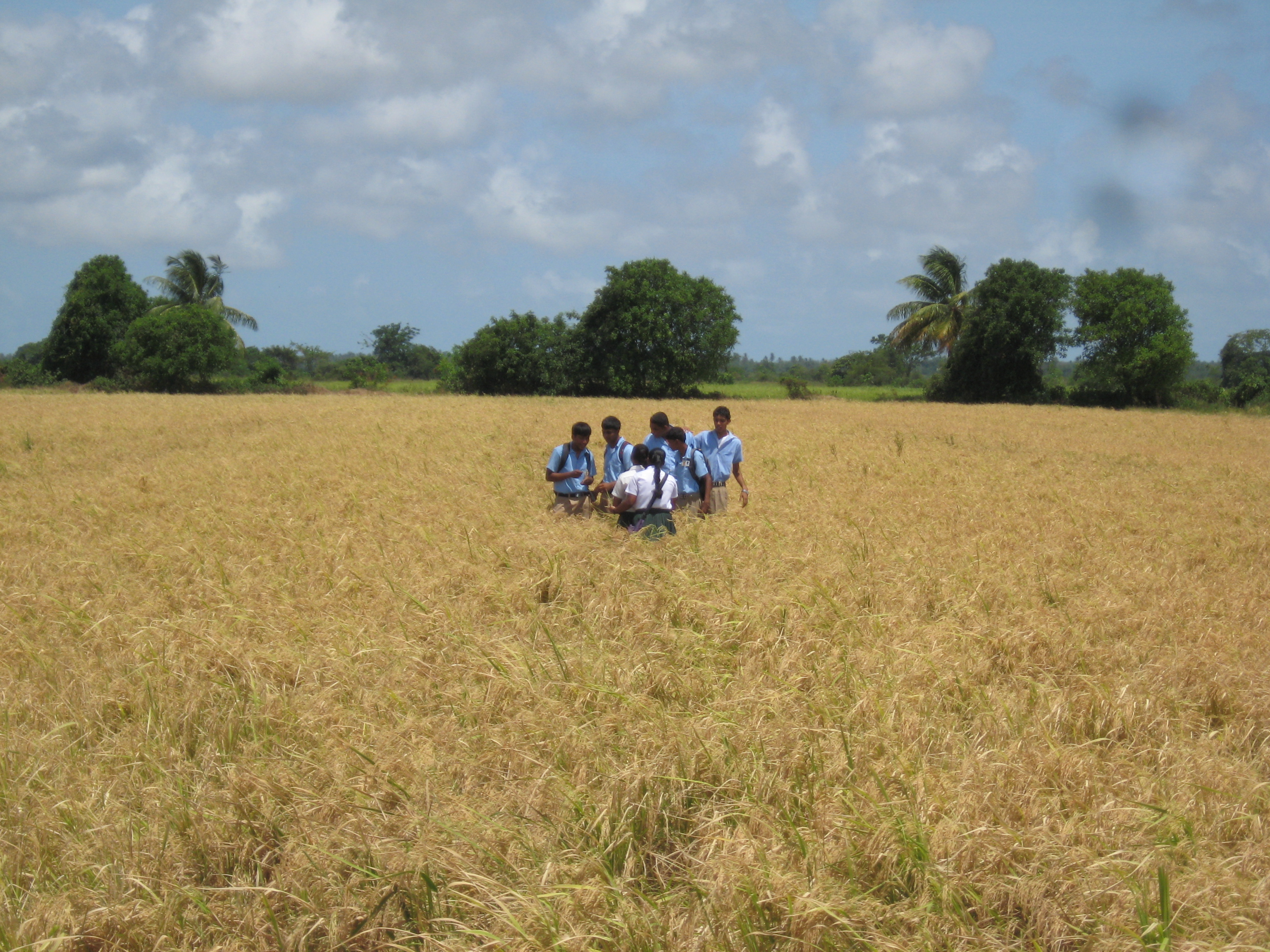 img_1299 – Guyana Rice Development Board